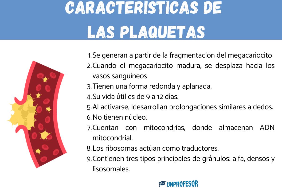 9 características de las PLAQUETAS