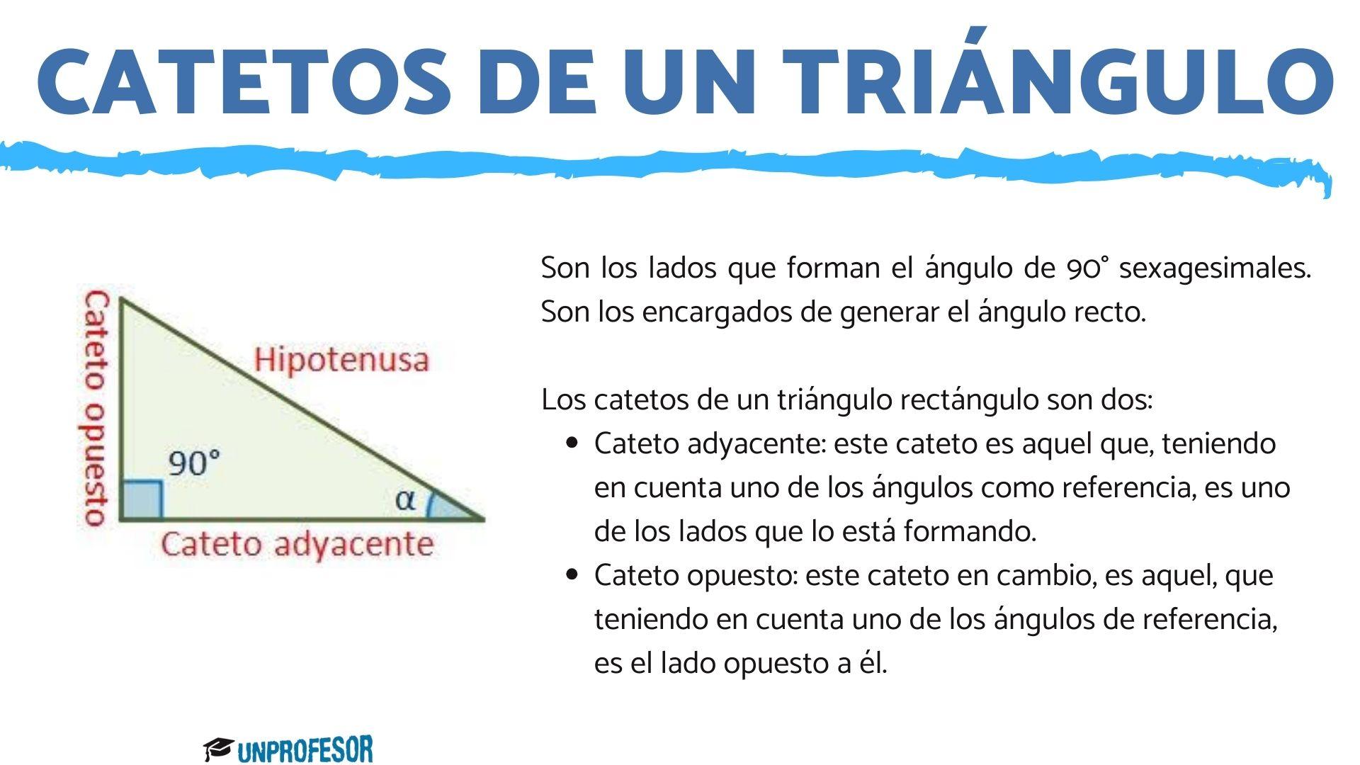 Qué es un CATETO de un triángulo y ejemplos