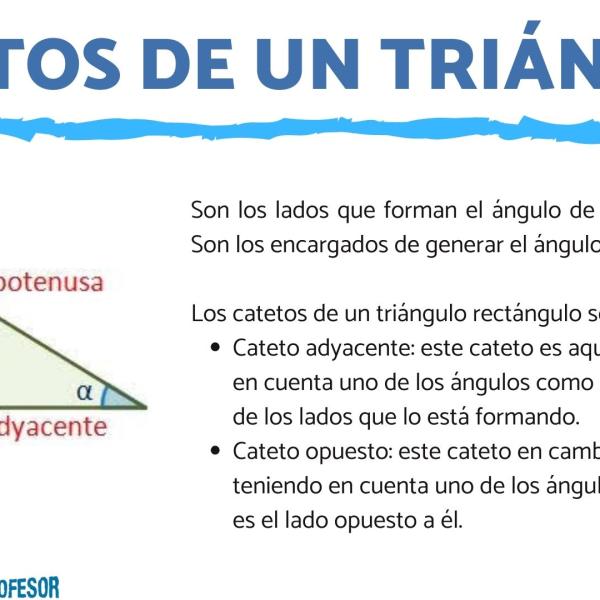 triangulo rectangulo catetos