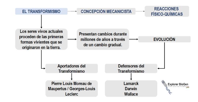 6 diferencias entre el FIJISMO y el TRANSFORMISMO