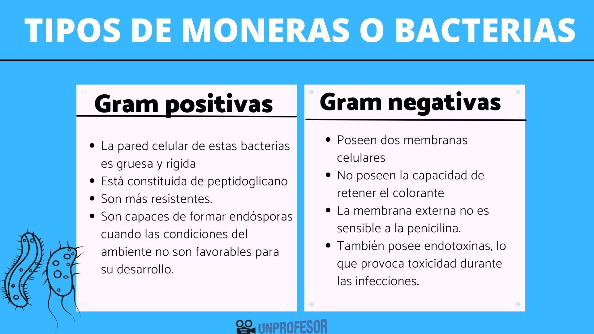 2 tipos de MONERAS y sus nombres - con ejemplos!