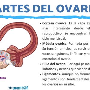 Aprender biología online