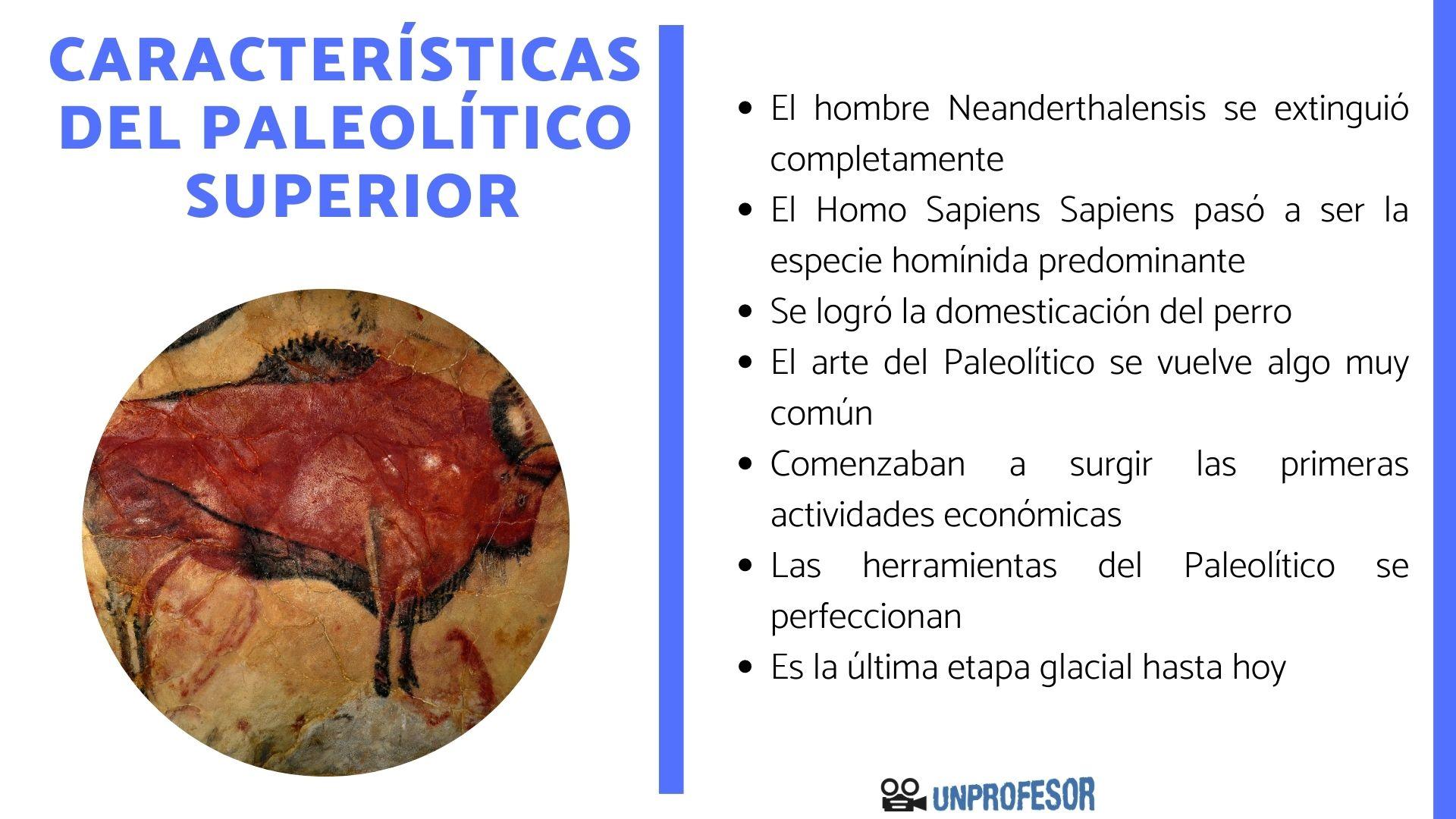 7 características del PALEOLÍTICO Superior