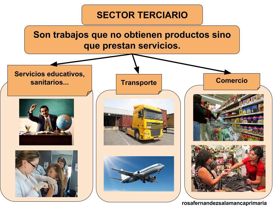 Sector terciario: definición y ejemplos