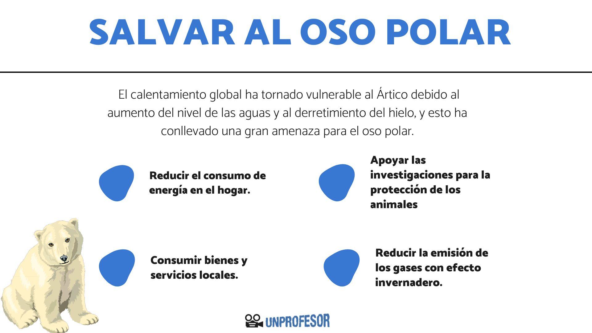 5 pasos para salvar al OSO polar - ¡tú puedes hacer mucho!