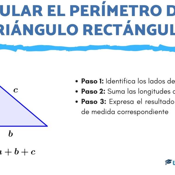 triangulo rectangulo formulas