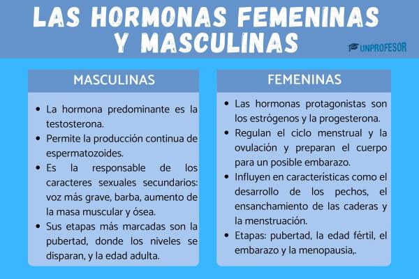 Qué son los ANDRÓGENOS y para qué sirven