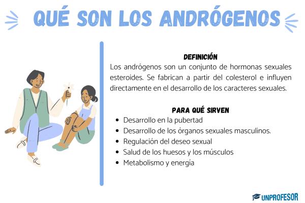 Qué son los ANDRÓGENOS y para qué sirven
