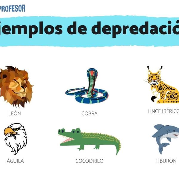 Depredacion