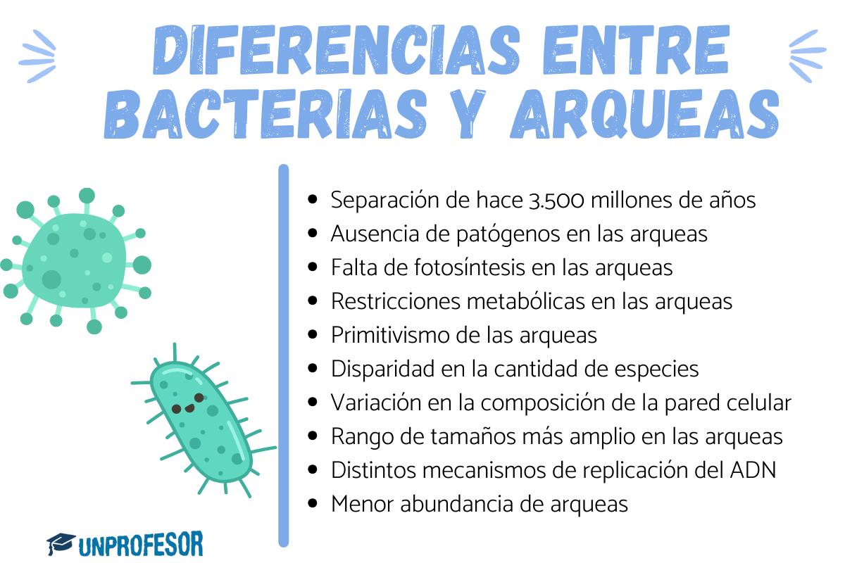 12 diferencias entre BACTERIAS y ARQUEAS