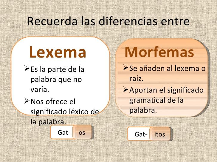 Qué es un LEXEMA: definición y ejemplos