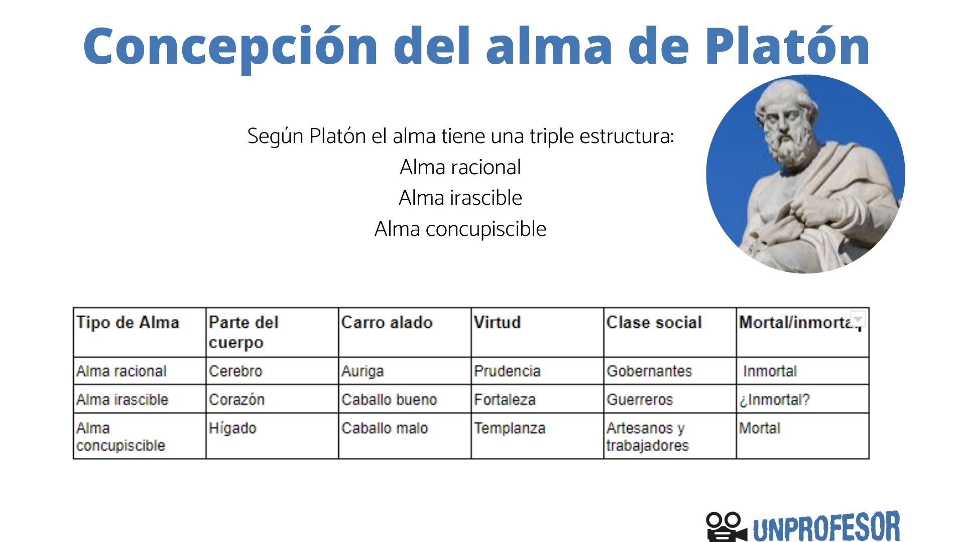 La concepción del ALMA de PLATÓN - [RESUMEN corto + VÍDEO!!]