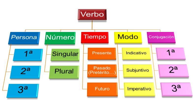 Cómo IDENTIFICAR el VERBO principal en una oración PASO A PASO - ¡RESUMEN!