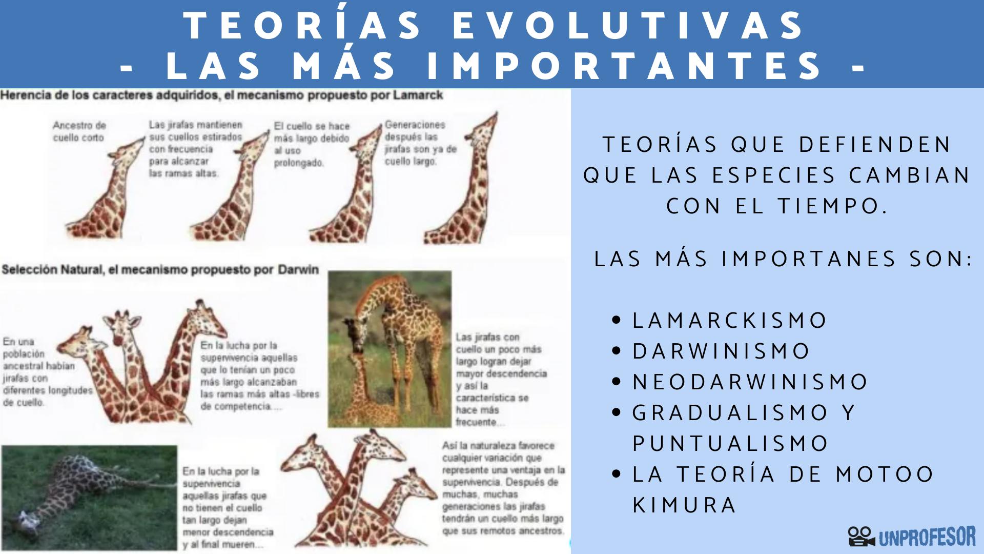 Teorías evolutivas - Resumen de las más importantes