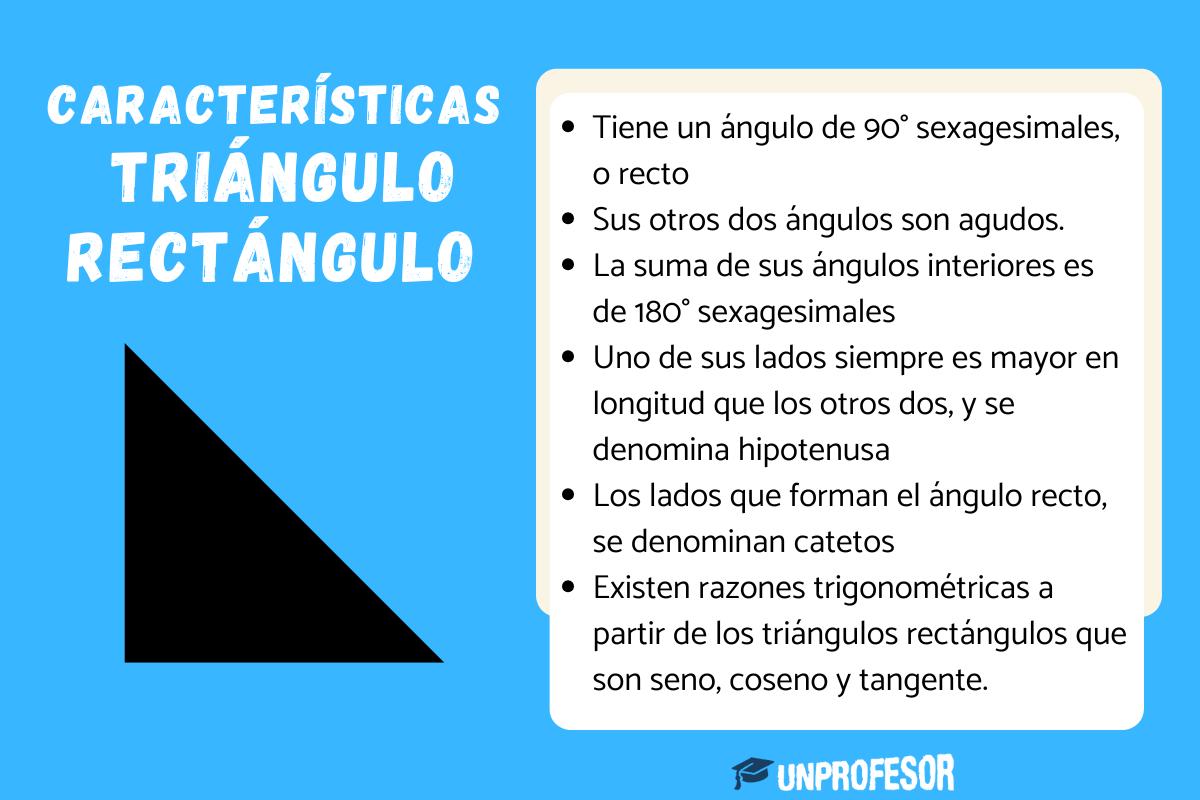 8 características del TRIÁNGULO rectángulo - para niños