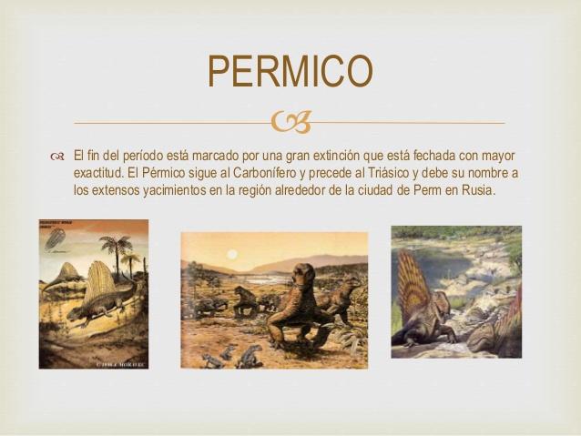 Periodo Pérmico: características principales - ¡RESUMEN Y ESQUEMAS!