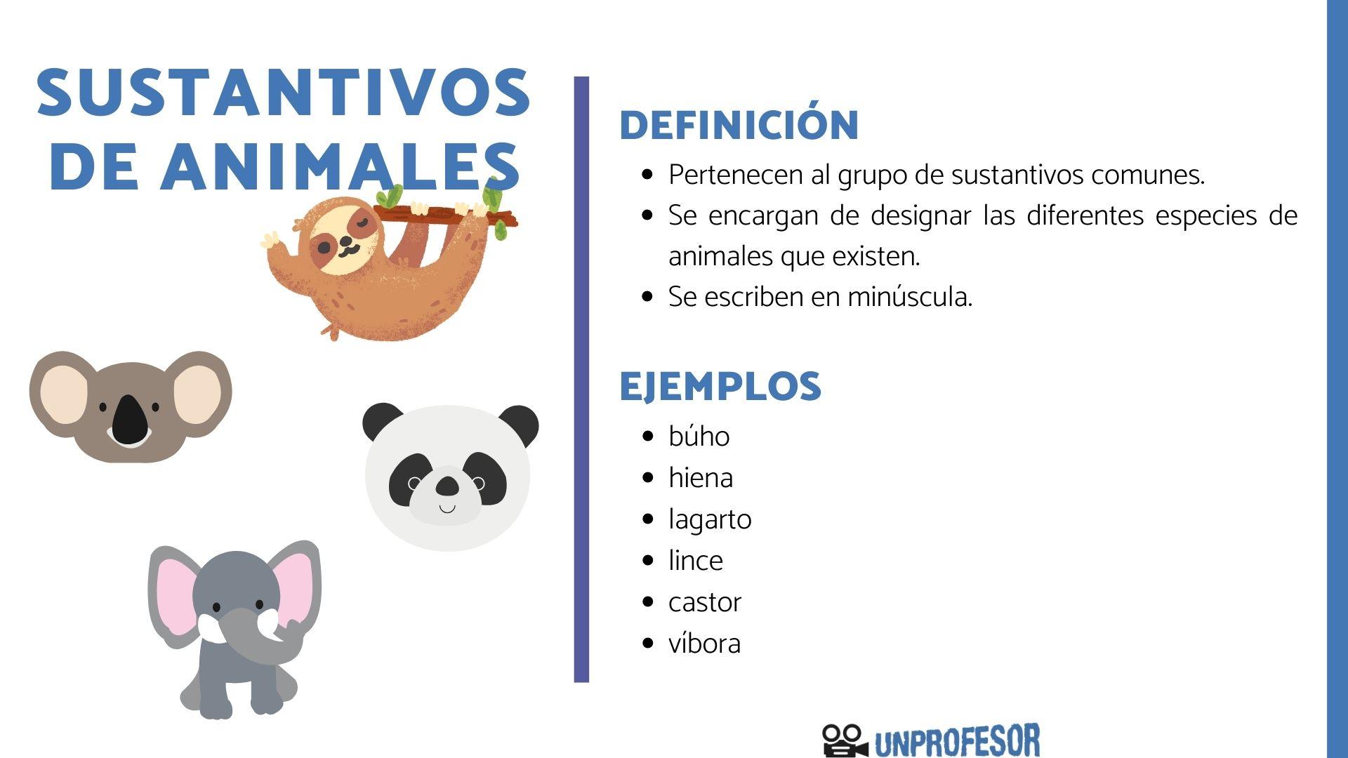 Tipos De Sustantivos Comunes Y Propios Con Ejemplos Lengua Y Mates