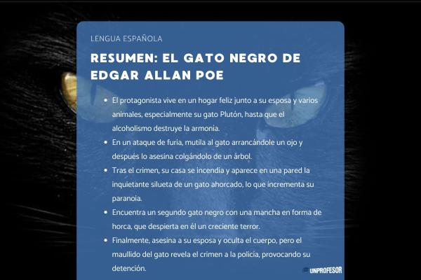 El gato negro: resumen y personajes