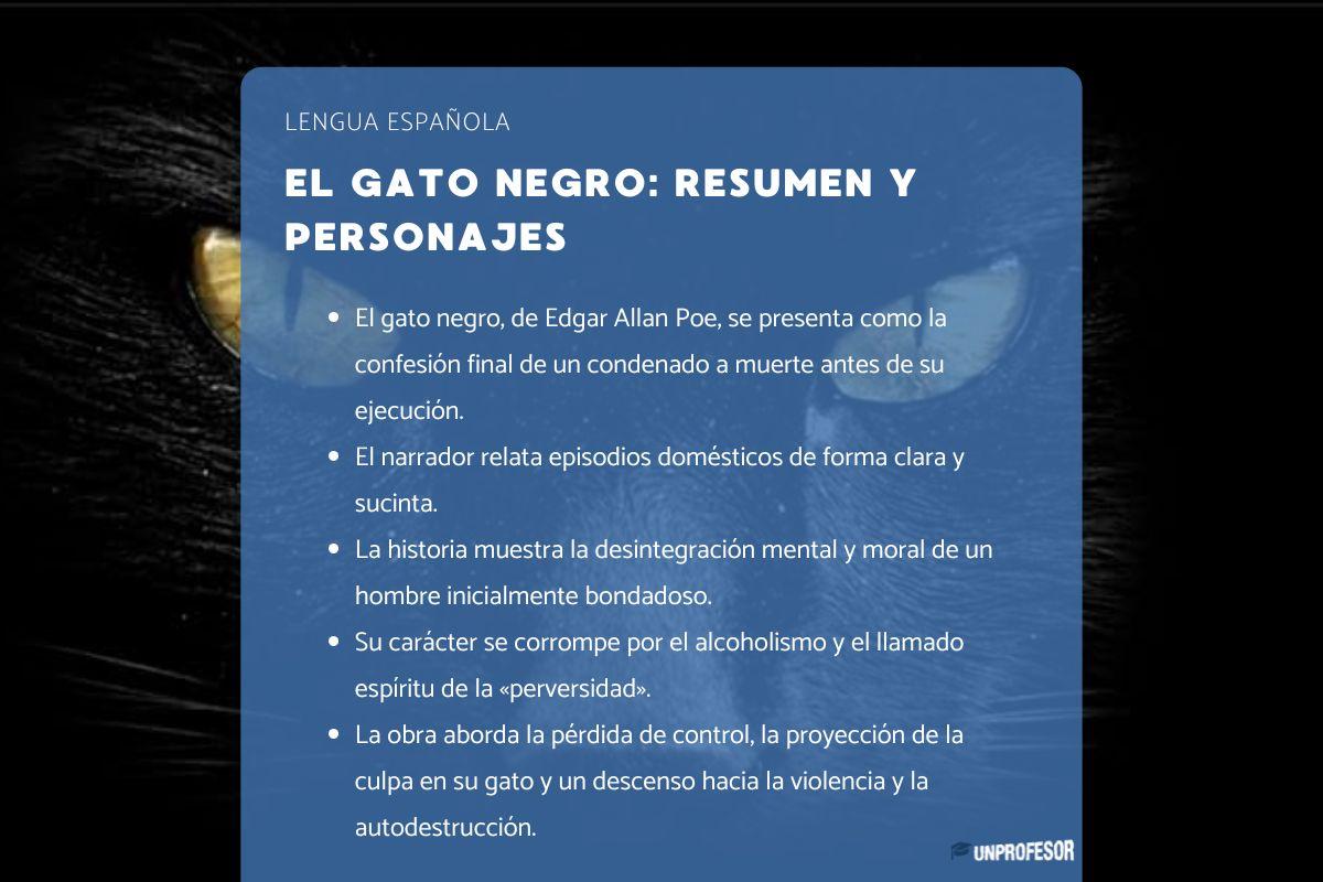 El gato negro: resumen y personajes