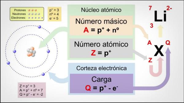Descubre qué es el NÚMERO ATÓMICO - ¡¡RESUMEN FÁCIL!! Descubre qué es el NÚMERO ATÓMICO - ¡¡RESUMEN FÁCIL!!