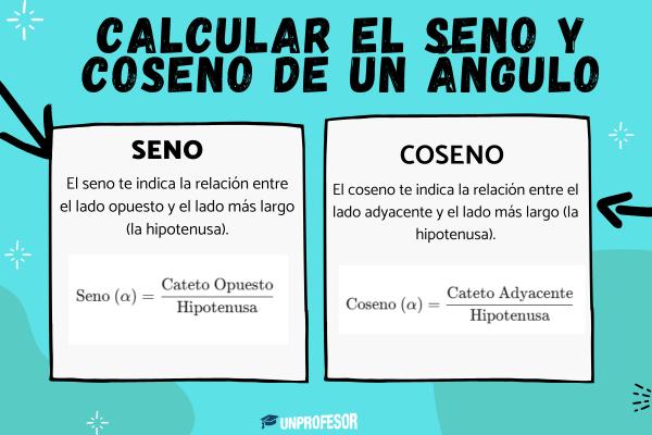Cómo calcular el SENO y COSENO de un ángulo