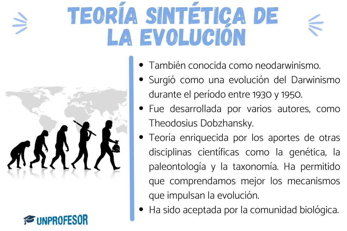 Cuál es la teoría SINTÉTICA de la evolución o NEODARWINISMO