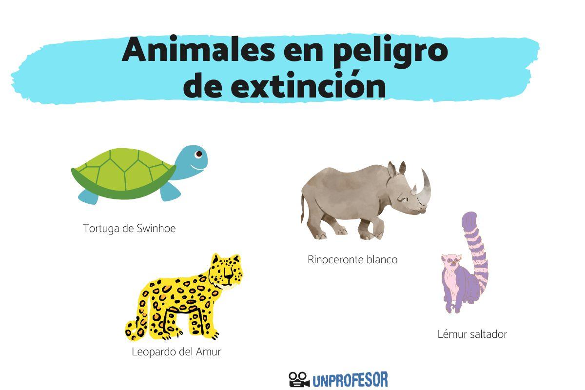 10 animales en mayor peligro de EXTINCIÓN - con imágenes!