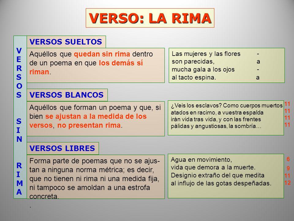 Verso suelto: definición y ejemplos - ¡Resumen FÁCIL!