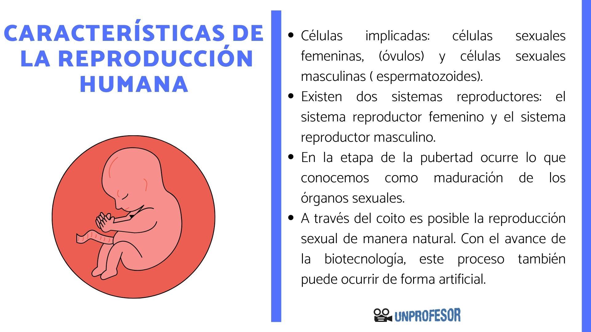 4 características de la REPRODUCCIÓN humana