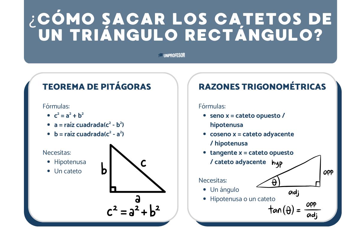 ¿Cómo sacar los catetos de un triángulo rectángulo?