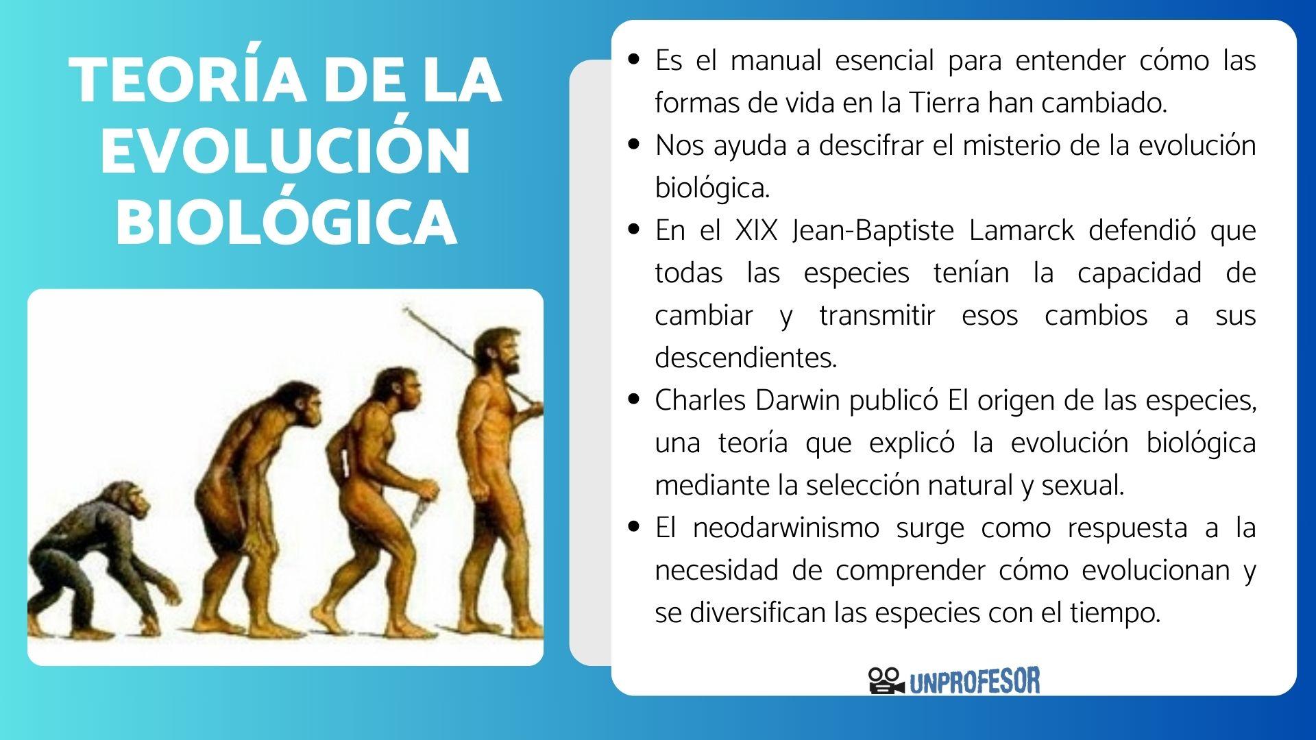 Teoría de la EVOLUCIÓN biológica - resumen y vídeos
