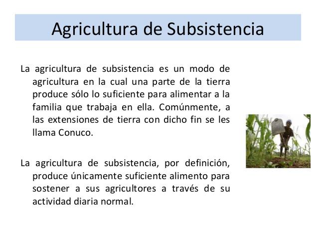 Qué es la economía de SUBSISTENCIA y sus características