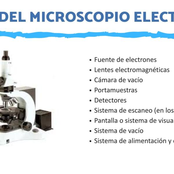 Top 49 Imagen De Microscopio Optico Con Sus Partes Y Funciones Update