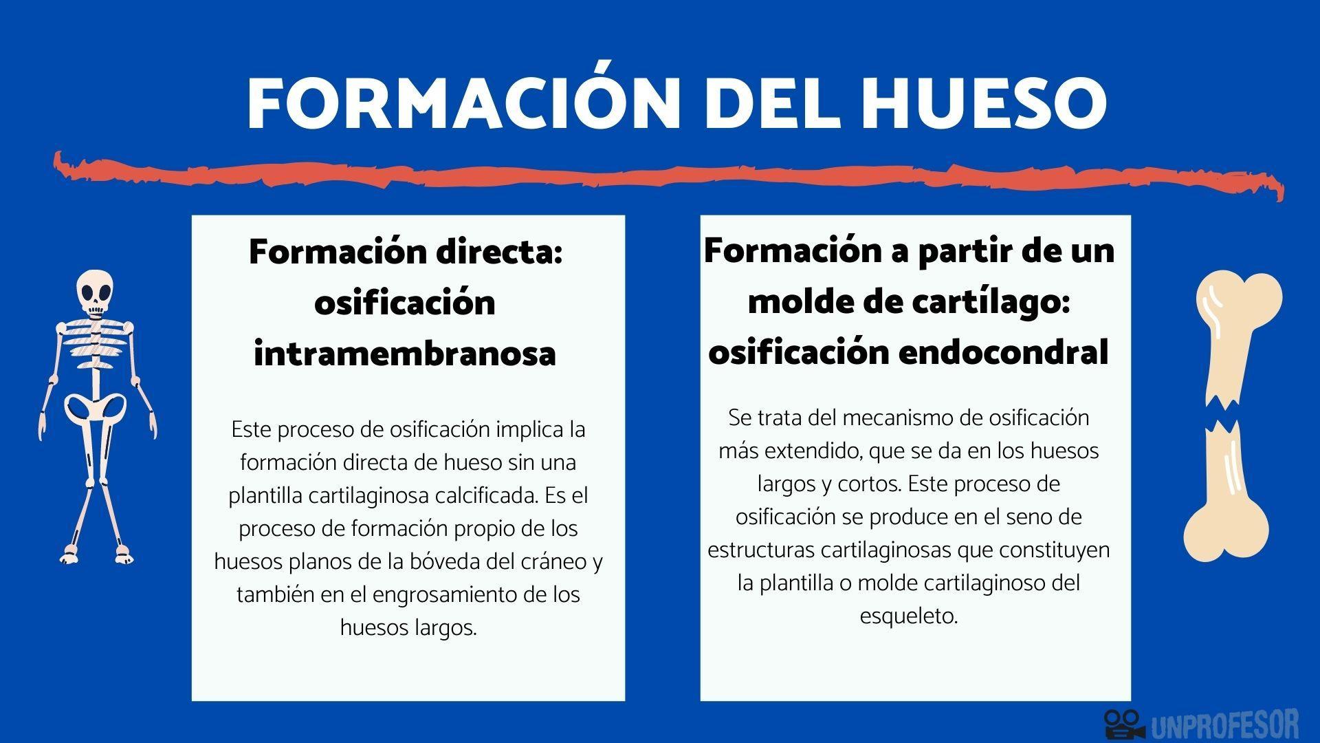 Cuentas De Hueso De Nativos Americanos Al Por Mayor