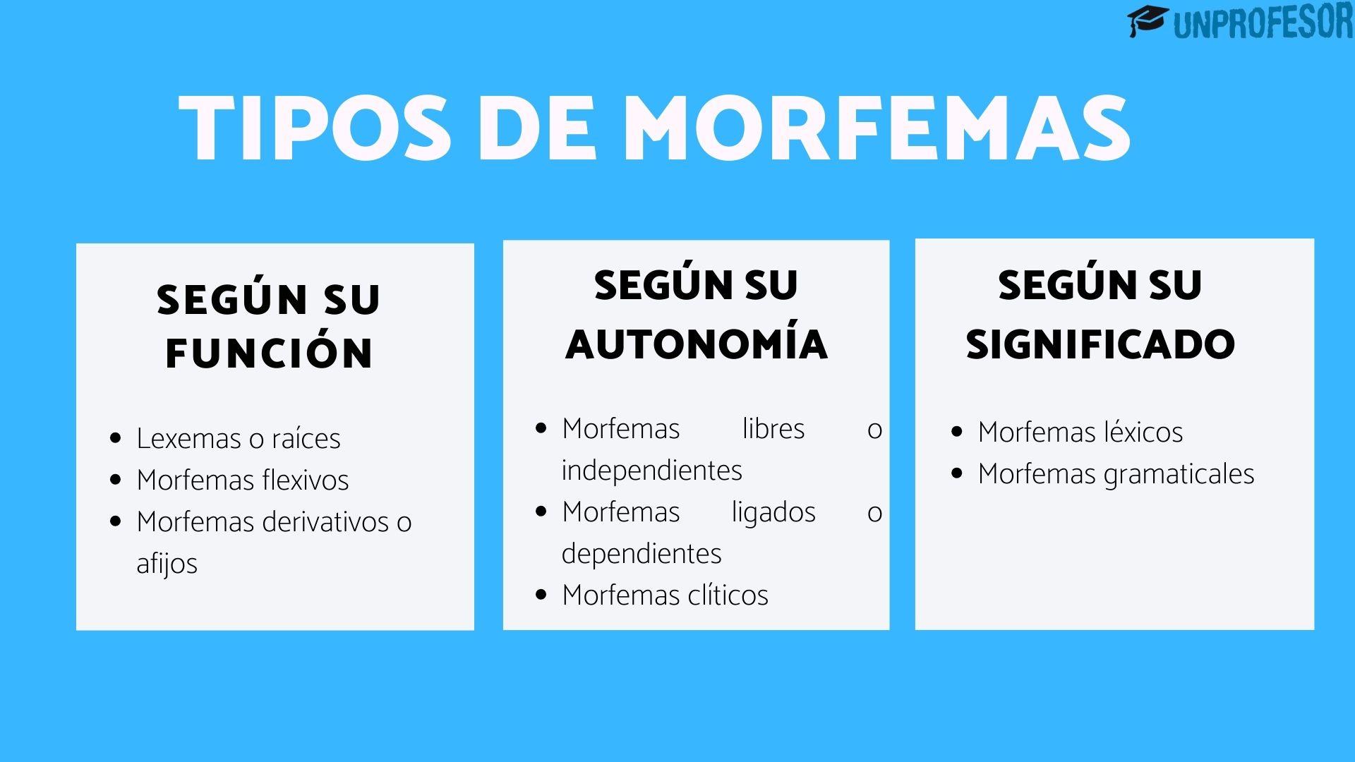 8 tipos de morfemas y ejemplos