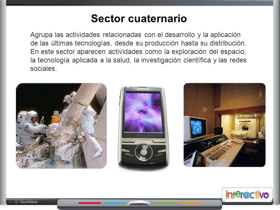 Sector cuaternario - ¡EJEMPLOS Y CARACTERÍSTICAS!