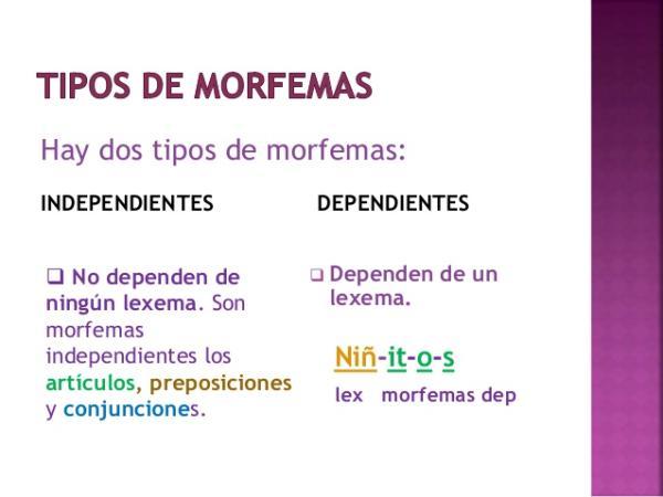 Tipos de MORFEMAS derivativos - resumen + vídeo!
