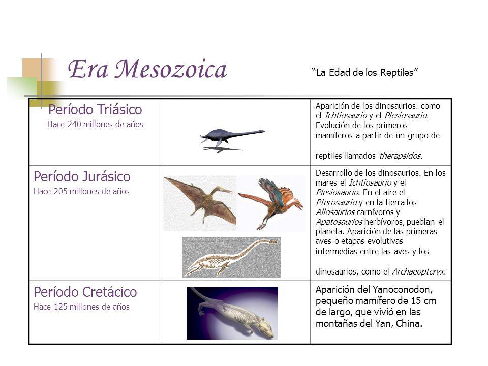 Periodo Cretácico: características principales - RESUMEN