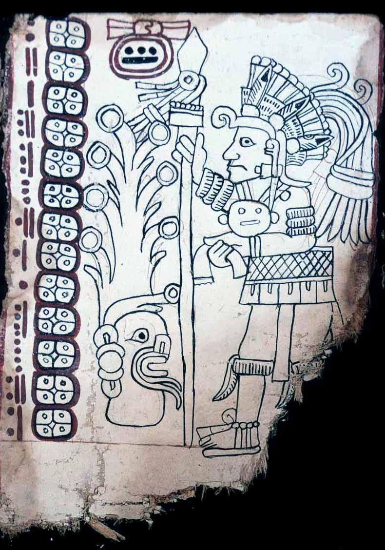 Los 5 CÓDICES MAYAS más importantes - RESUMEN con FOTOS!!
