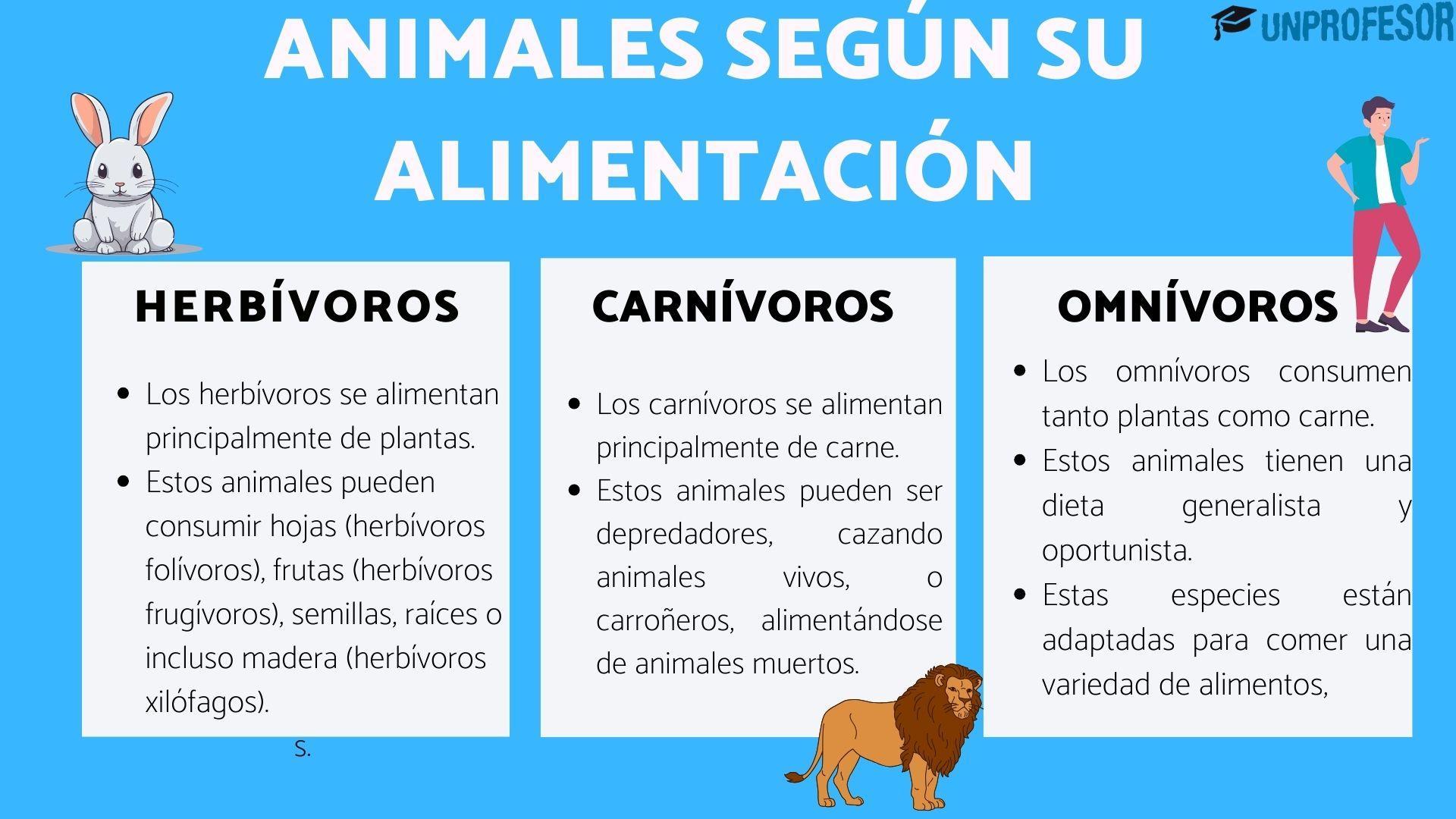 50 Ejemplos De Animales Carnívoros Y Sus Características