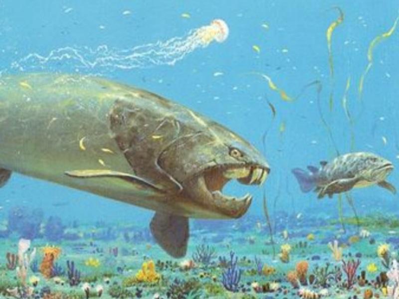 Periodo Devónico: Características Principales y Resumen